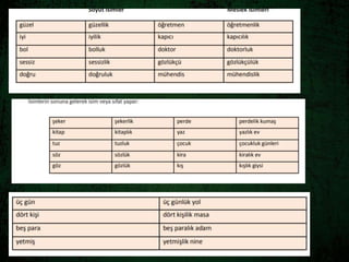 Turkish grammar (Türkçe dilbilgisi) | PPTX