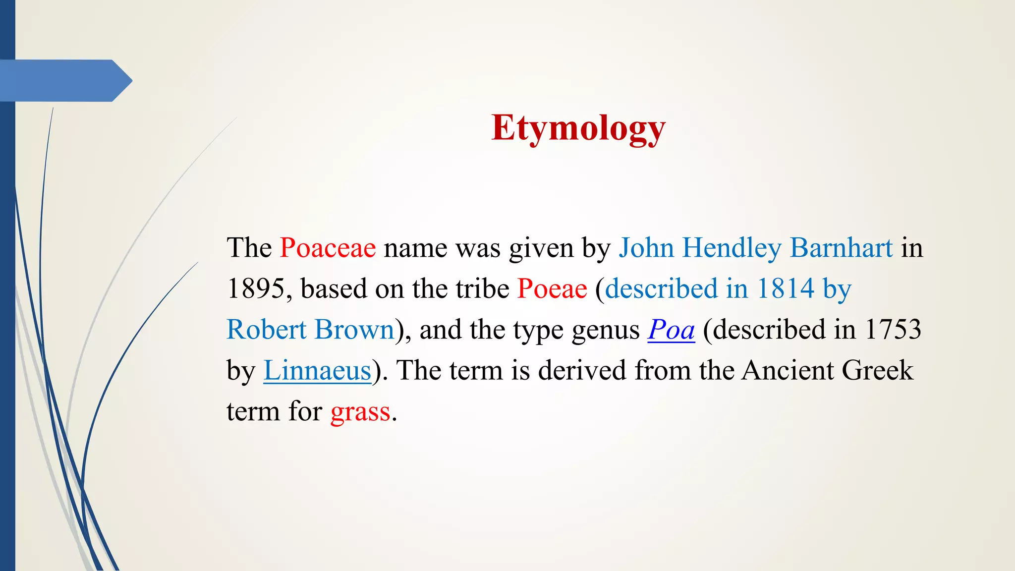 Gramineae (poaceae).it is the one of the largest plant family | PPTX