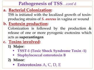 Gram+ive cocci | PPT