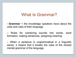 Grammar.pdf