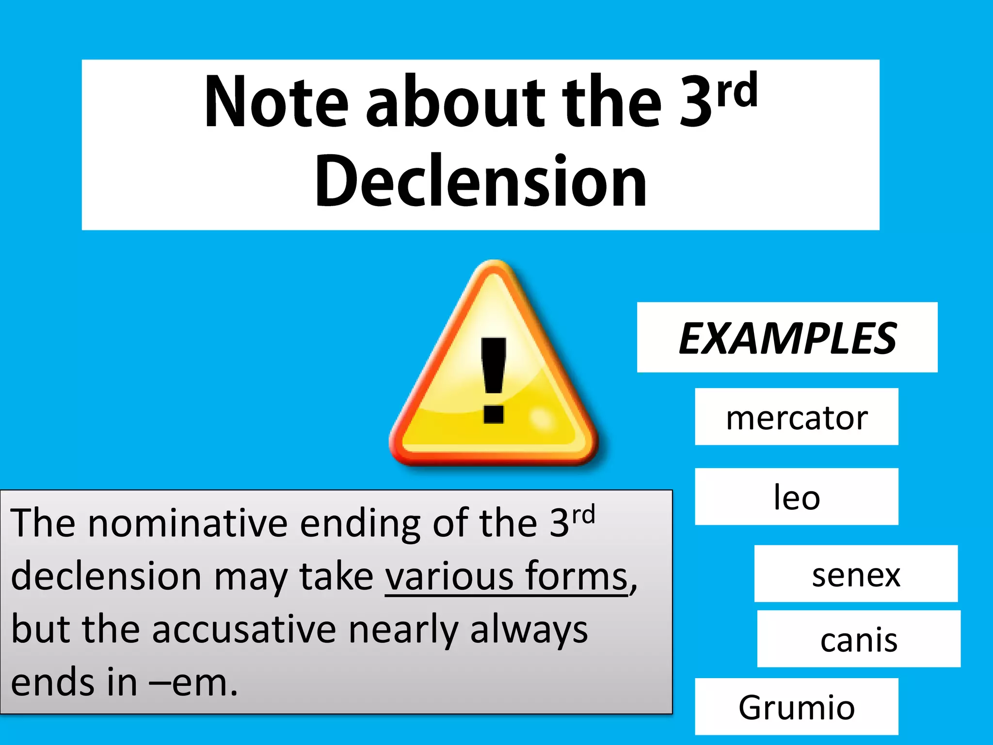 Latin Grammar - declensions | PDF