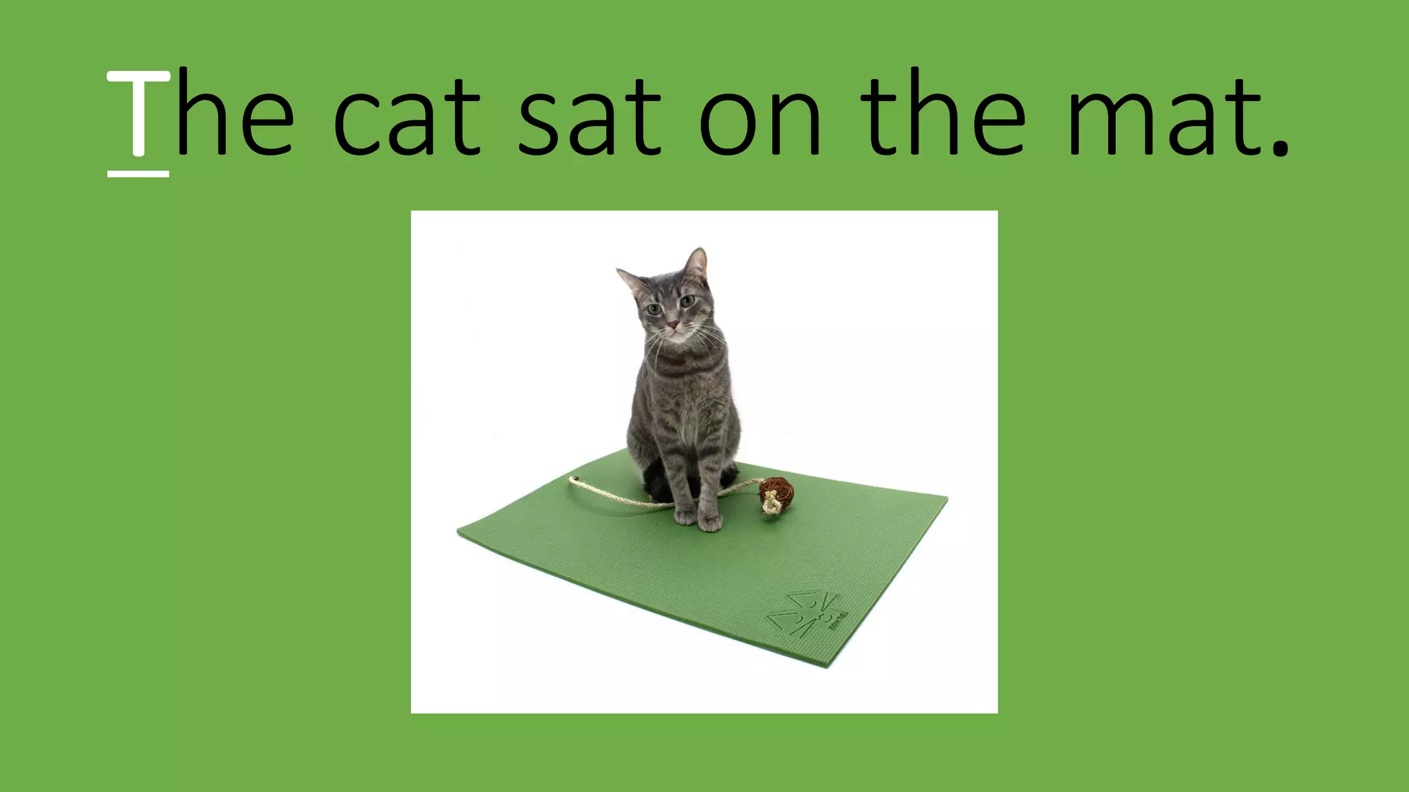 Sentences ( Capital Letters and Periods) | PDF