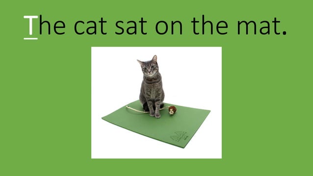 Sentences ( Capital Letters and Periods) | PDF