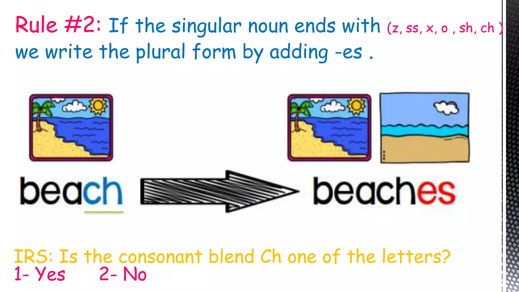 Grammar singular and plural nouns adding es | PPTX