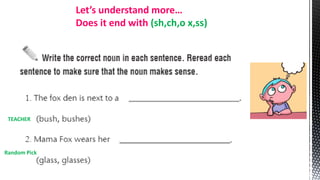Grammar singular and plural nouns adding es | PPTX