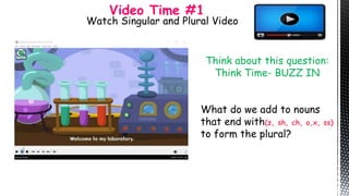 Grammar singular and plural nouns adding es | PPTX