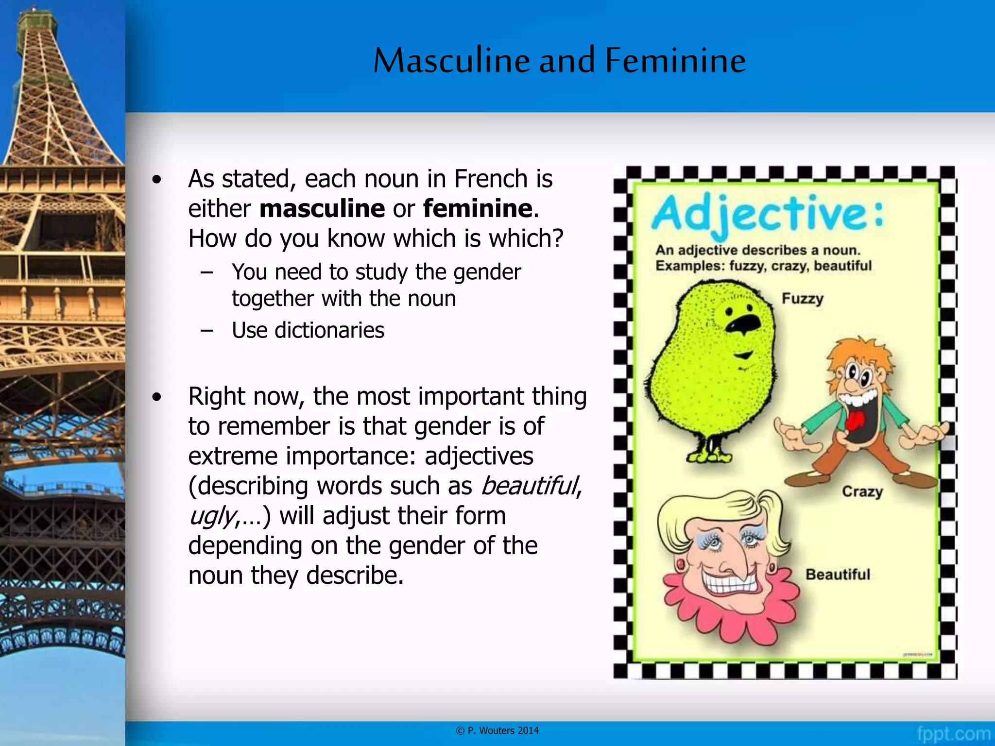 Grammar 1 - Introduction to Gender in French | PPT