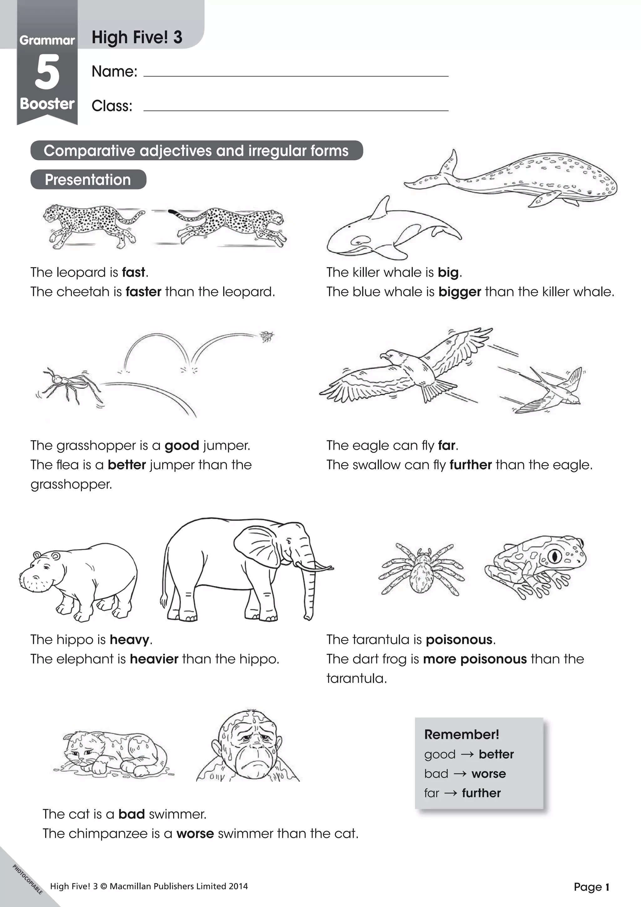 Grammar 3 (1) | PDF
