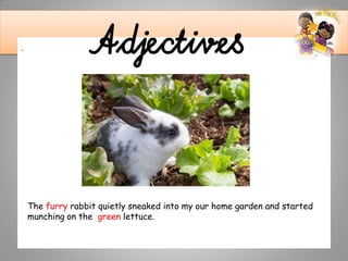 Grammar Adjectives | PDF