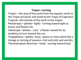 Grammar and composition words 1 10 | PPT