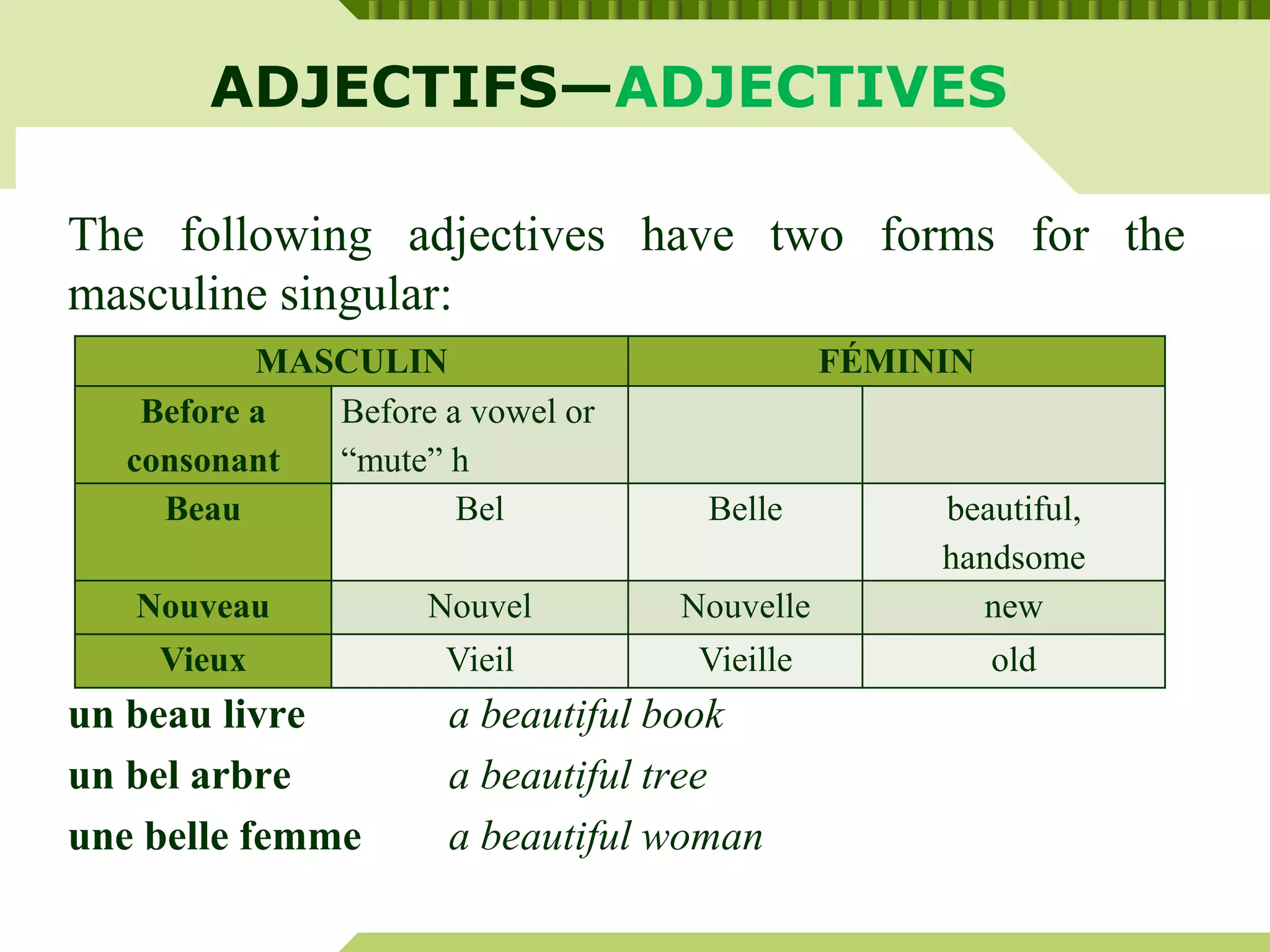 French Grammar(For Beginners) | PPT