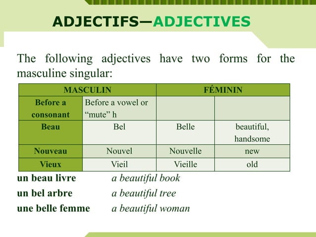 French Grammar(For Beginners) | PPT