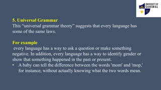 Grammar & its Kinds.pptx | Education