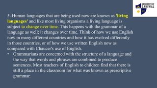 Grammar & its Kinds.pptx | Education