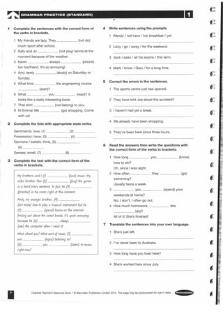 Grammar practice (standard) | PDF