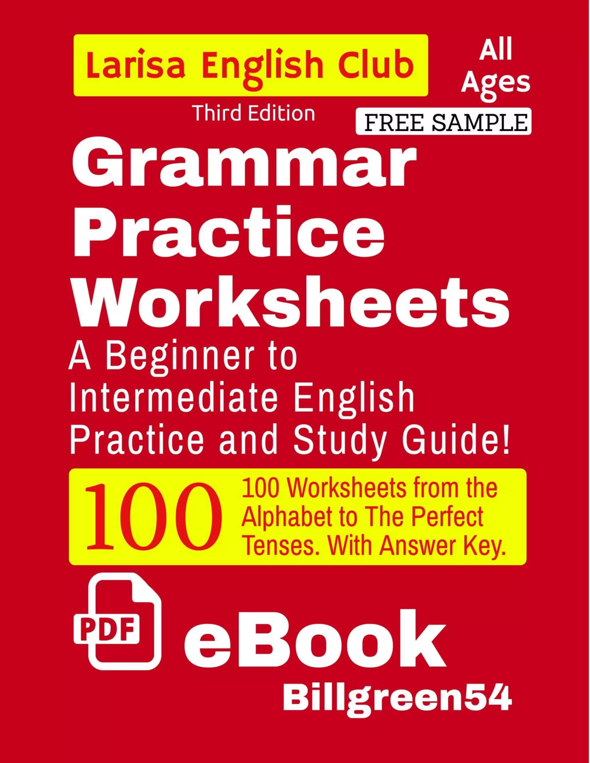 Grammar Practice Worksheets ESL English | PDF