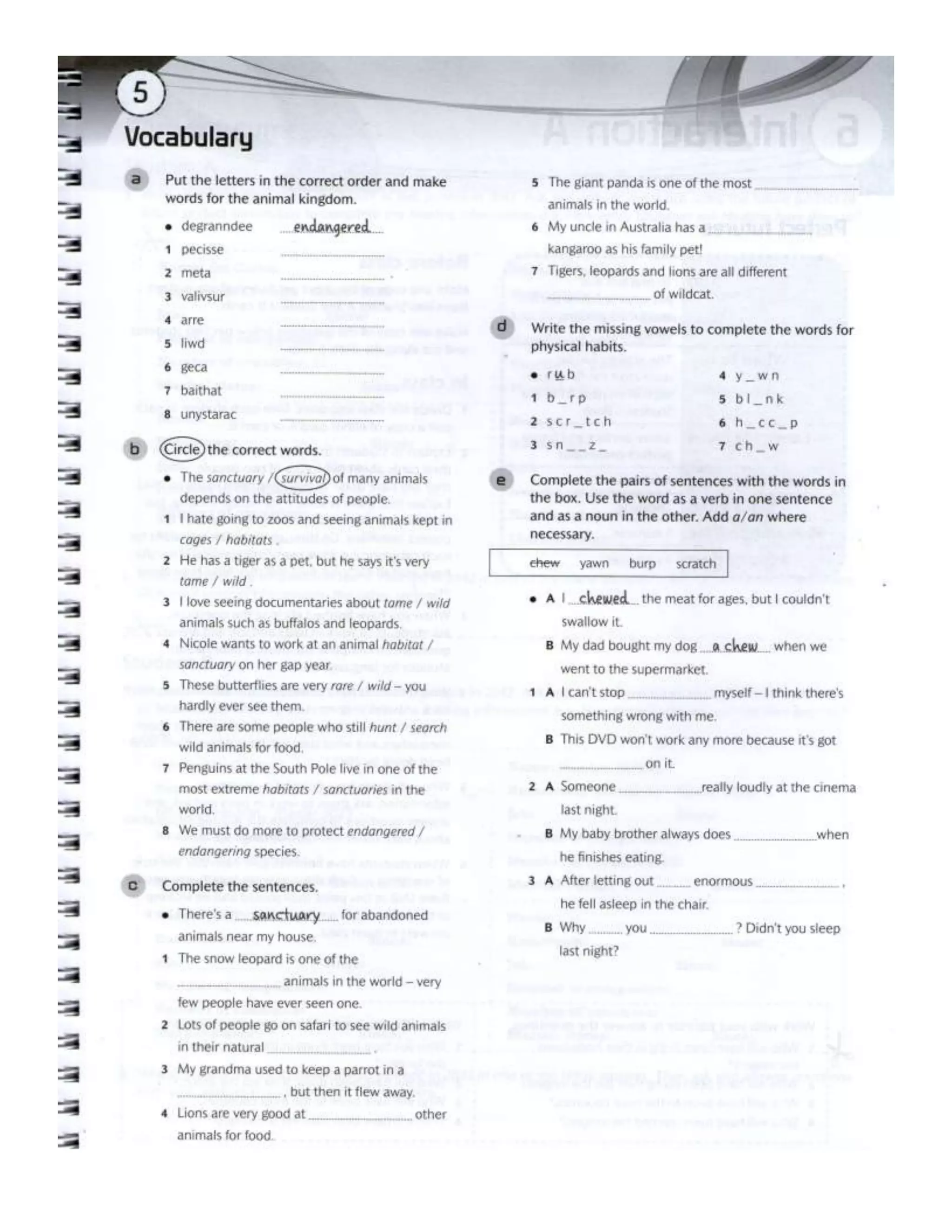 Grammar vocabulary workshop w2 2 p b+ | DOCX | Education