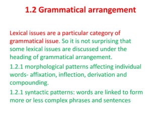 Grammatical-issues-in-translation.pptx