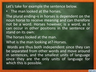 Grammatical Aspects of Language (1).pptx | Internet for Beginners ...