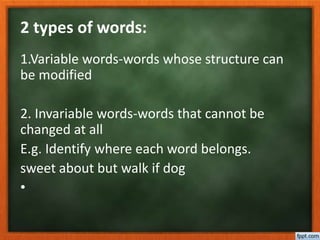 Grammatical Aspects of Language (1).pptx | Internet for Beginners ...