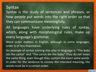 Grammatical Aspects of Language (1).pptx | Internet for Beginners | Internet
