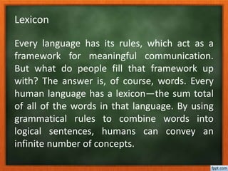 Grammatical Aspects of Language (1).pptx | Internet for Beginners ...