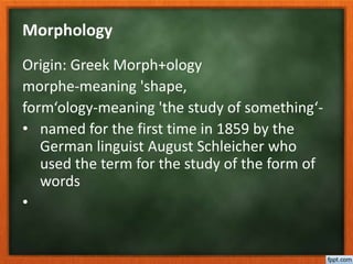 Grammatical Aspects of Language (1).pptx | Internet for Beginners ...