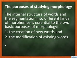 Grammatical Aspects of Language (1).pptx | Internet for Beginners ...