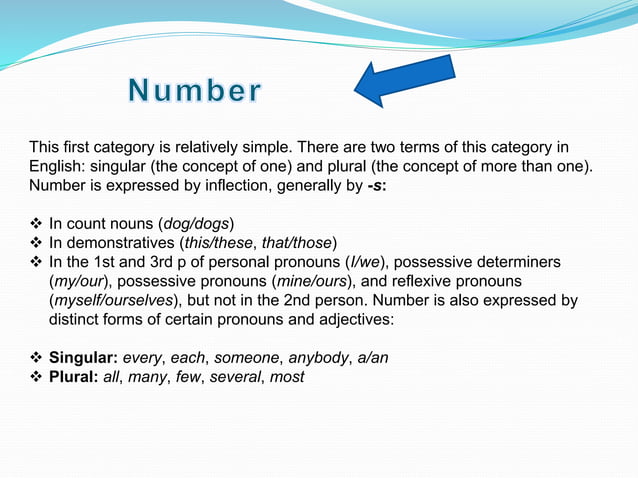 Grammatical categories and word classes | PPTX