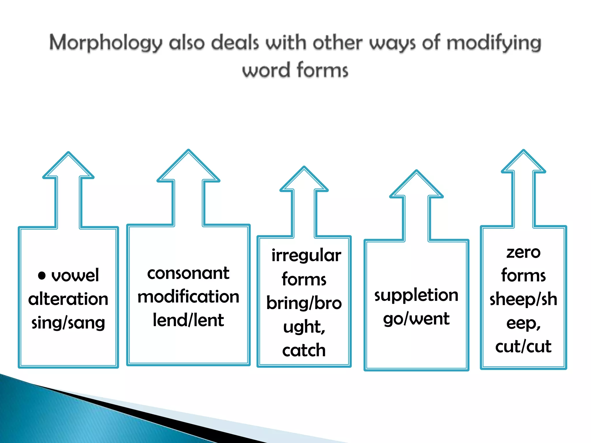 Grammatical competence (2) | PPTX