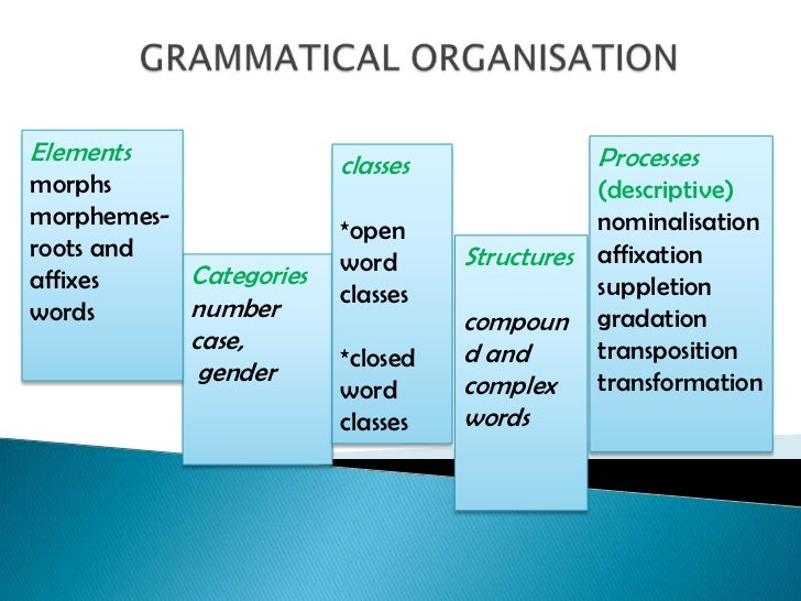 Grammatical competence (2)