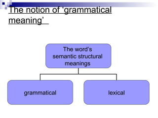 Grammatical meaning | PPT