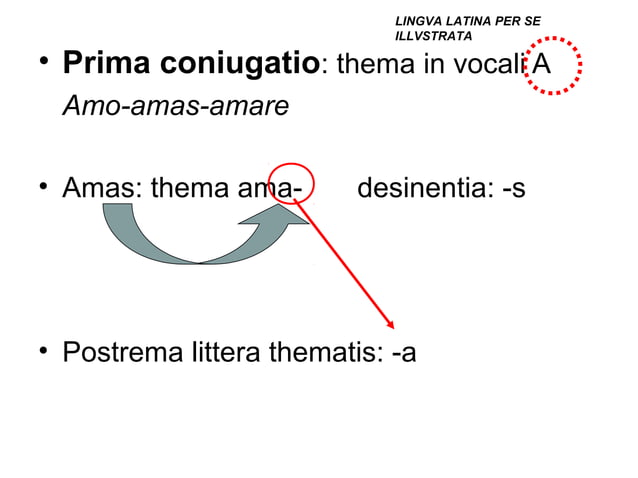 Grammatica v de verborum coniugationibus | PPT