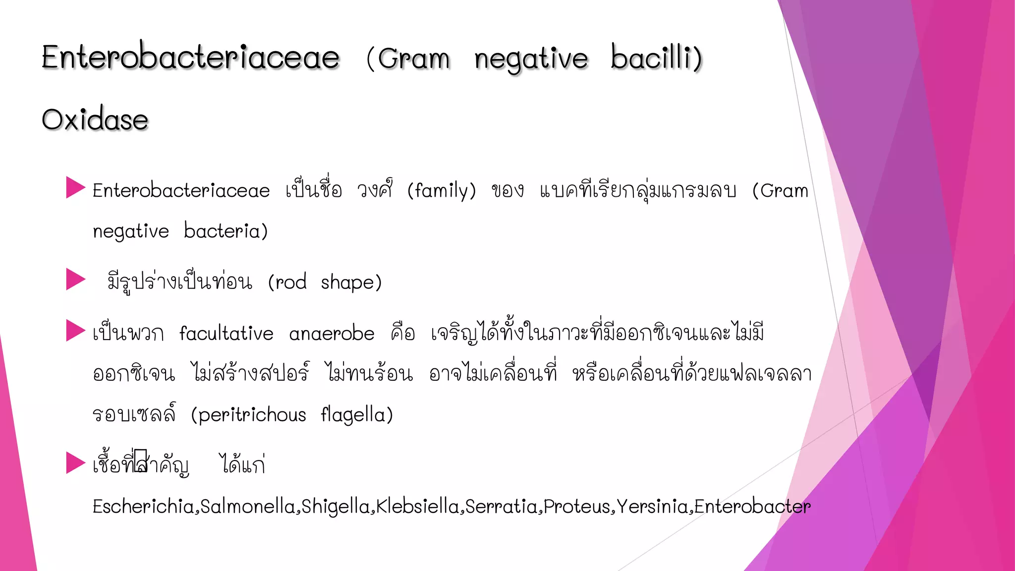 Gram negative bacilli | PPTX