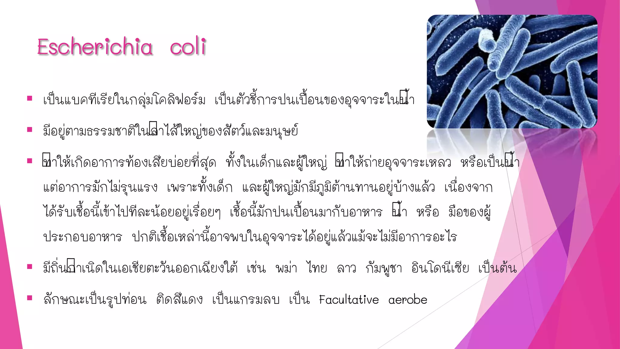 Gram negative bacilli | PPTX