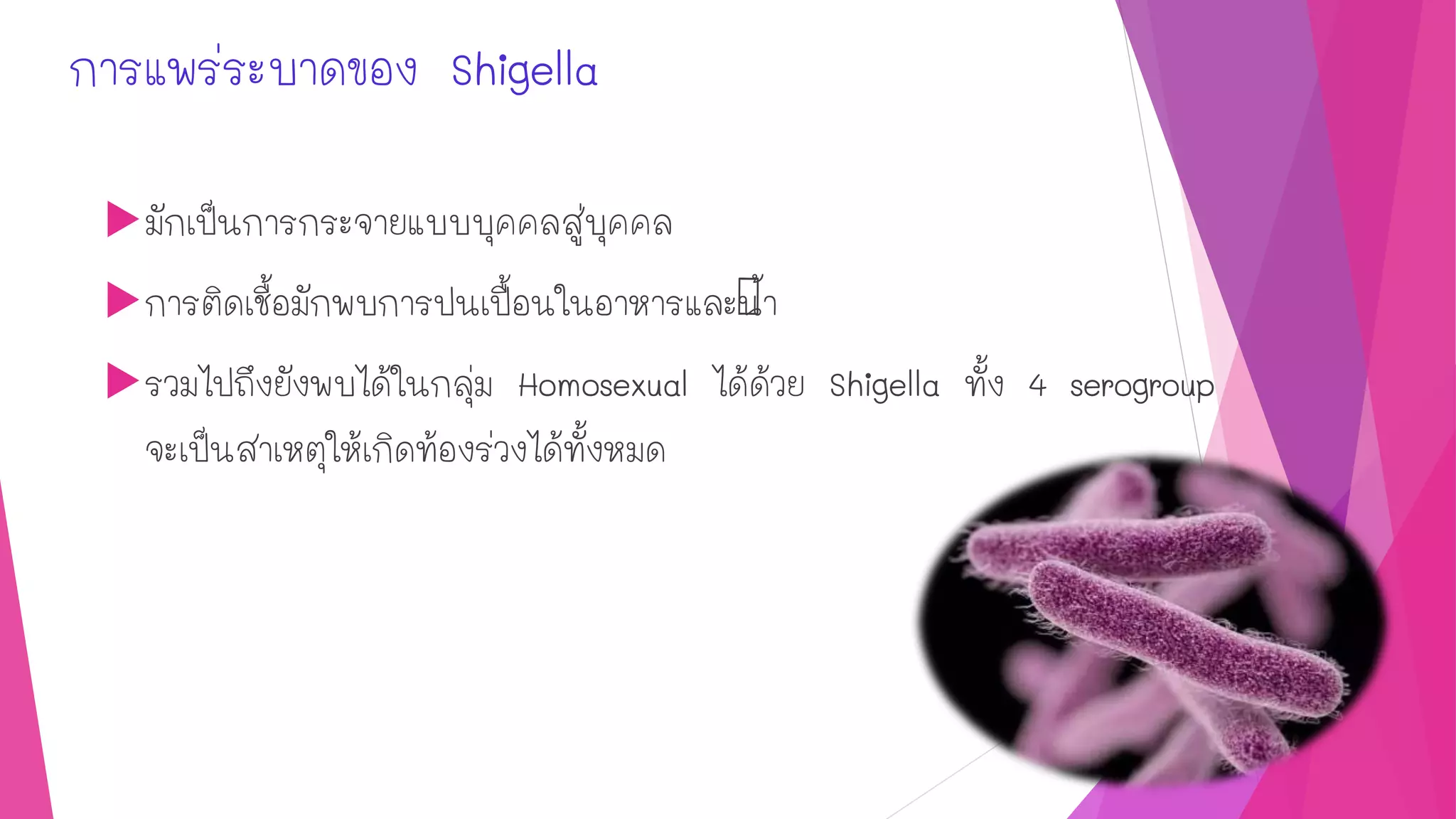 Gram negative bacilli | PPTX