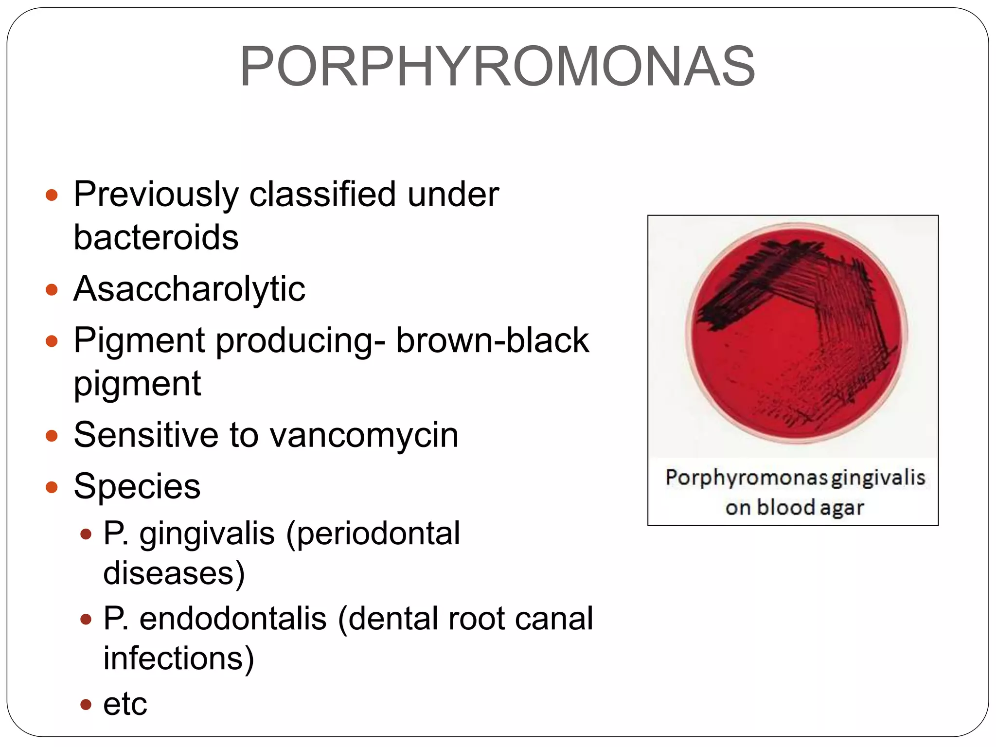 Gram negative bacilli | PPTX