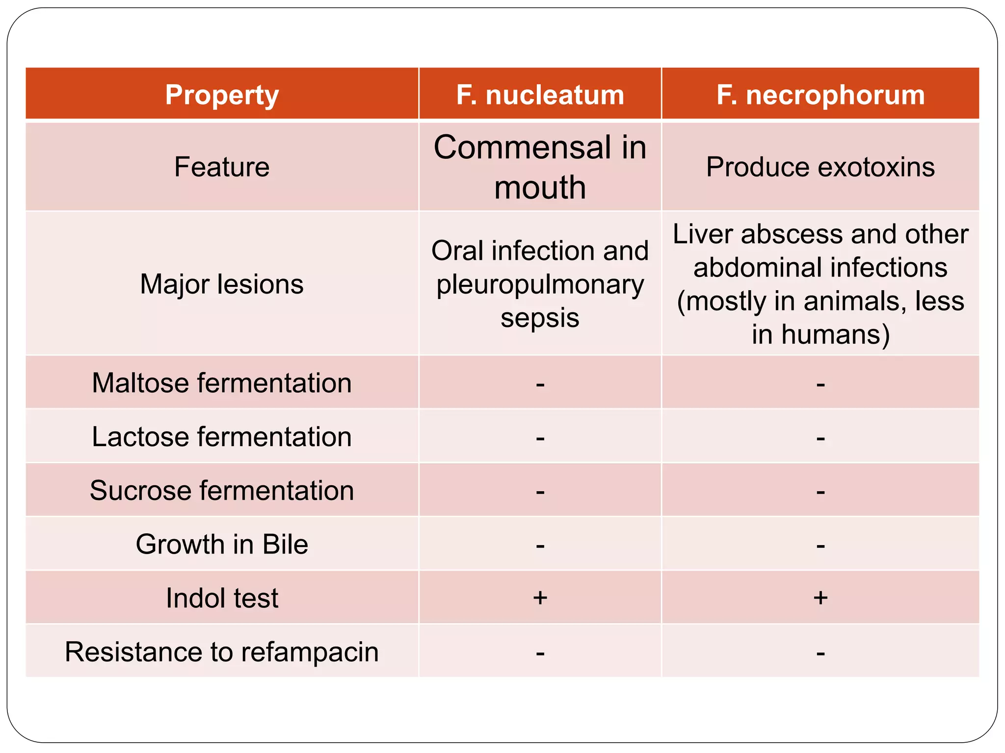 Gram negative bacilli | PPTX