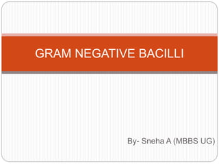 Gram negative bacilli | PPTX