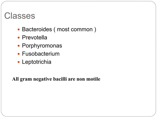 Gram negative bacilli | PPTX