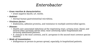 Gram negative bacilli (Enterobacteriaceae) | PPTX