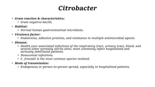 Gram negative bacilli (Enterobacteriaceae) | PPTX