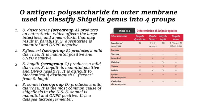 Gram negative bacilli (Enterobacteriaceae) | PPTX | Infectious Diseases ...