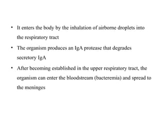 Gram Negative Bacillus Associated with Respiratory Tract.pptx