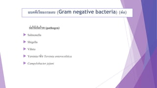 Gram negative bacteria bacilli oxidase negative | PPTX