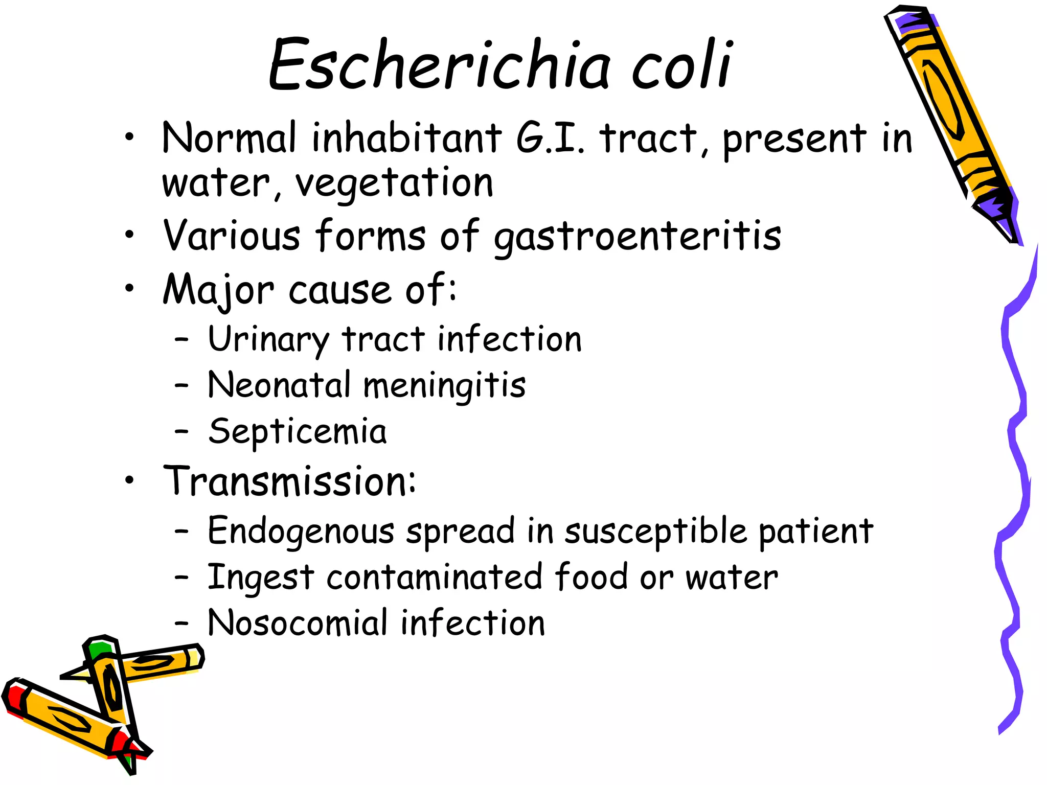 Gram Negative Bacteria.ppt