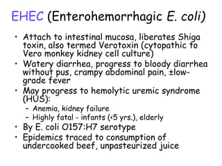 Gram Negative Bacteria.ppt | Digestive Disorders | Diseases and Conditions