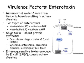Gram Negative Bacteria.ppt | Digestive Disorders | Diseases and Conditions