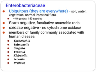 Gram Negative Bacterial Infffections.pdf