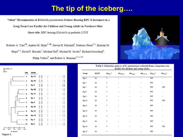 Gram negative cephalosporium and carbapenem resistance robert bonomo md | PDF | Infectious ...